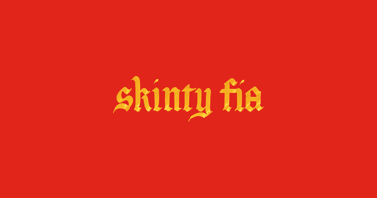 REVIEW: Fontaines DC – Skinty Fia – Picky Bastards