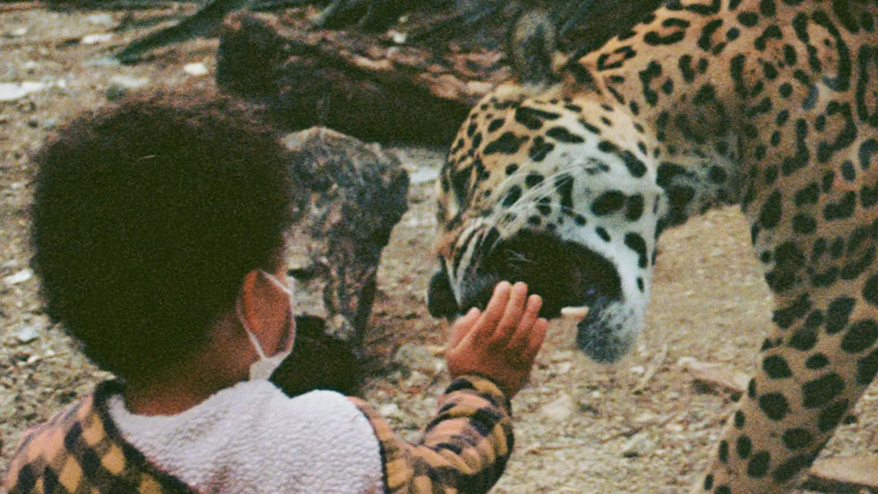 REVIEW: Unknown Mortal Orchestra – V – Picky Bastards