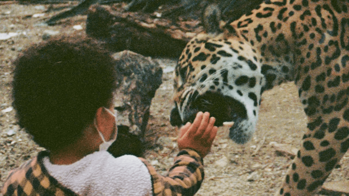 REVIEW: Unknown Mortal Orchestra – V – Picky Bastards